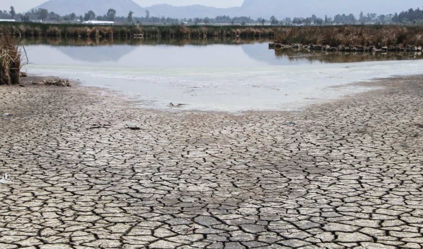 Afecta ya la sequía a tres cuartas partes del territorio