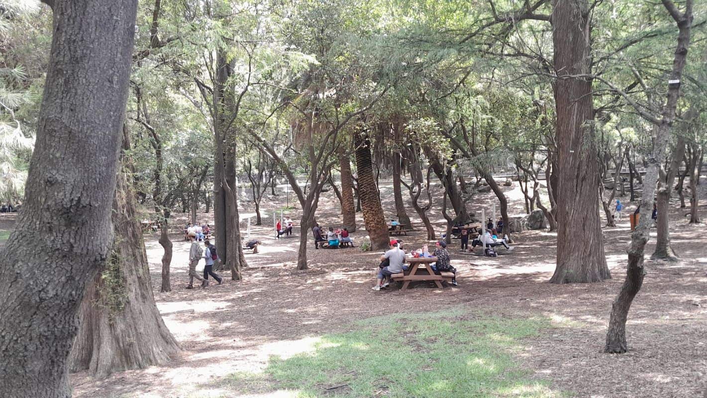 Regreso a Chapultepec: Recorre con nosotros el entrañable bosque