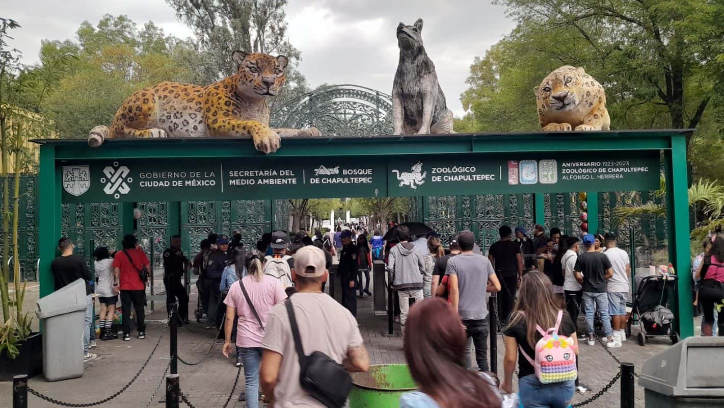 Regreso a Chapultepec: Recorre con nosotros el entrañable bosque