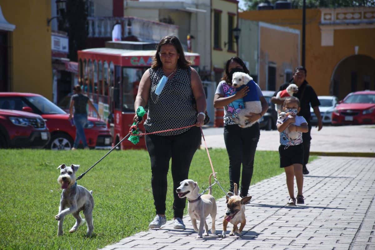 Cómo despedirse de los animales de compañía, un texto de Leonora Esquivel