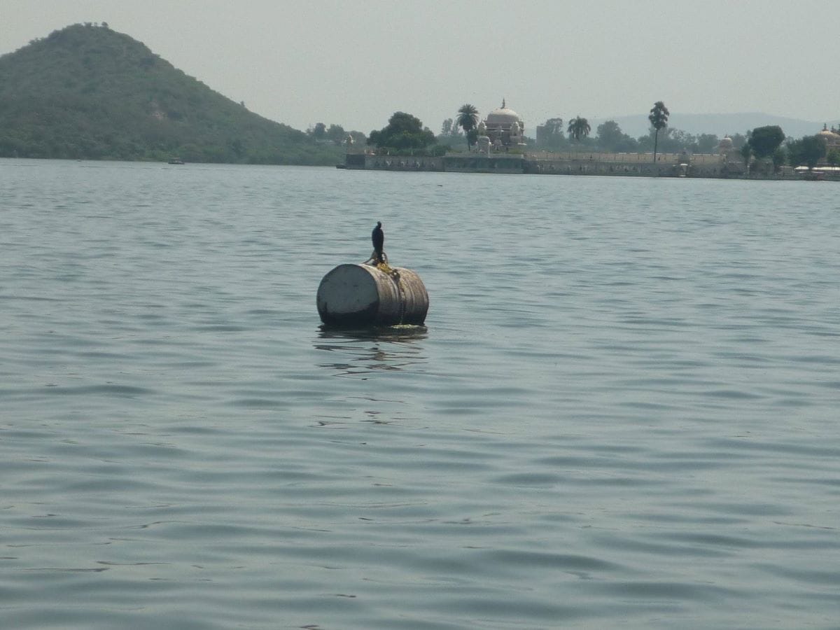 Agradecer más que pedir, la carta de Luis Mac Gregor a los Reyes Magos