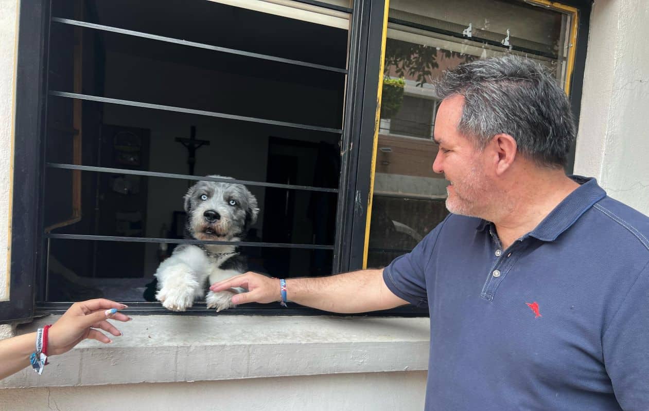 Federico Döring y sus 5 propuestas