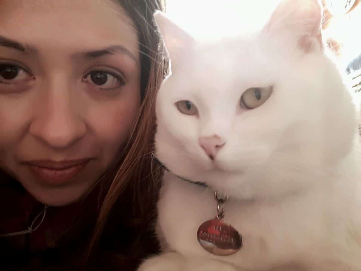 Cambia la convivencia entre humanos y animales. Un texto de Melissa ...