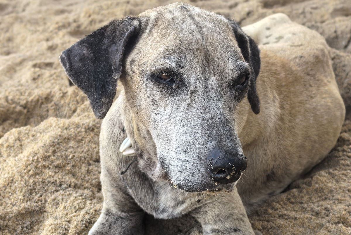 Migrar con el alma. Un relato de Melissa García Meraz en Historias de ...